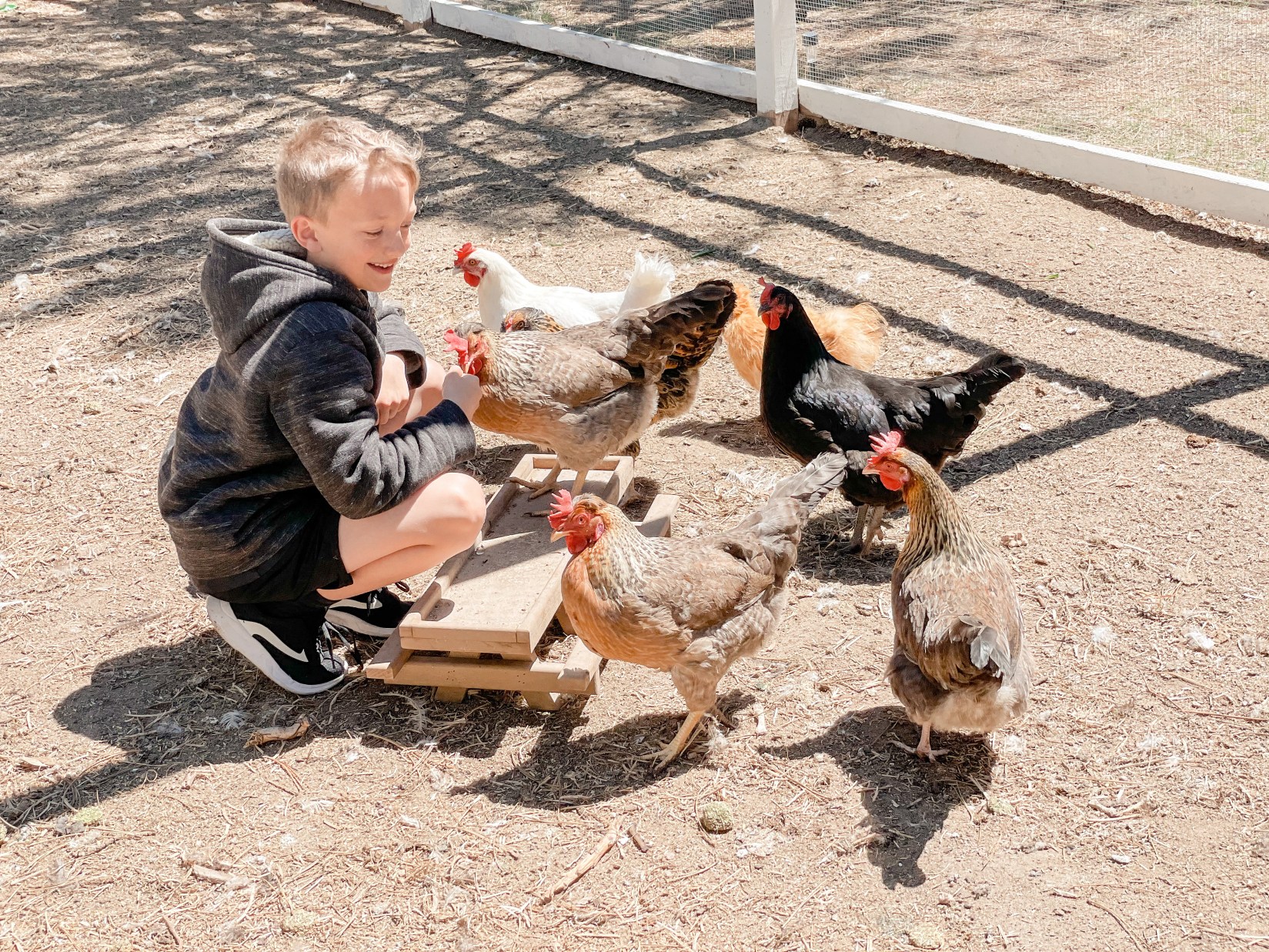Freedom Pines Farm – Just a family learning to be mroe self-sufficient ...
